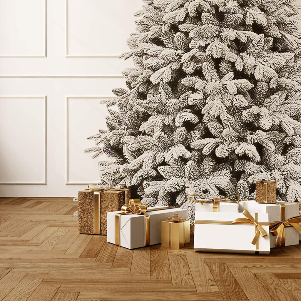 Snow Fraiser Fir - twenty fifth
